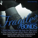 Book Review — Fragile Bonds by Sloan Johnson — Aestas Book Blog