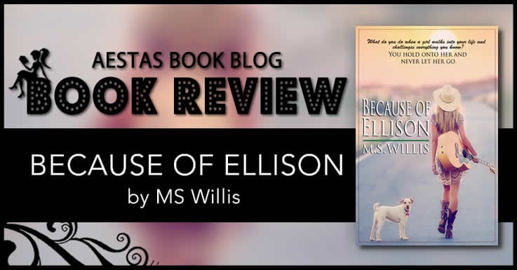 Book Review — Because of Ellison by MS Willis — Aestas Book Blog